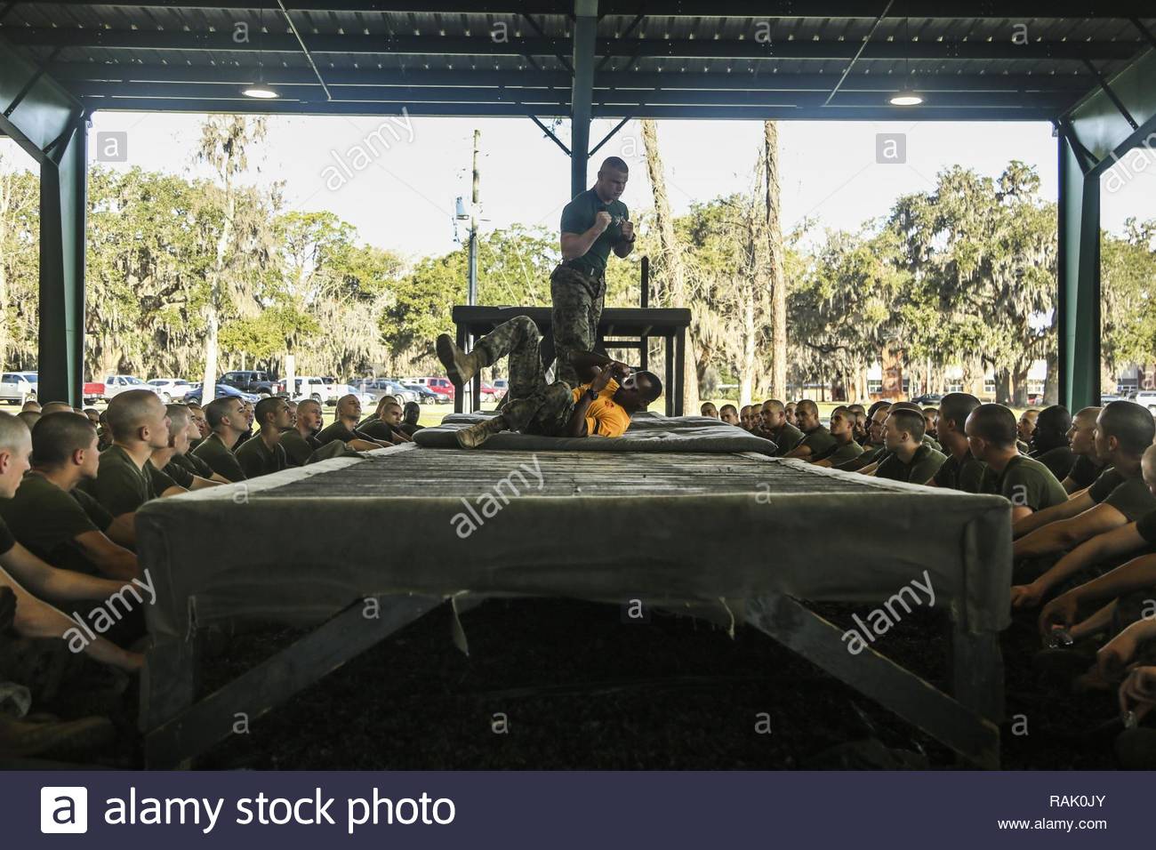 [50+] Mcmap Wallpapers | WallpaperSafari