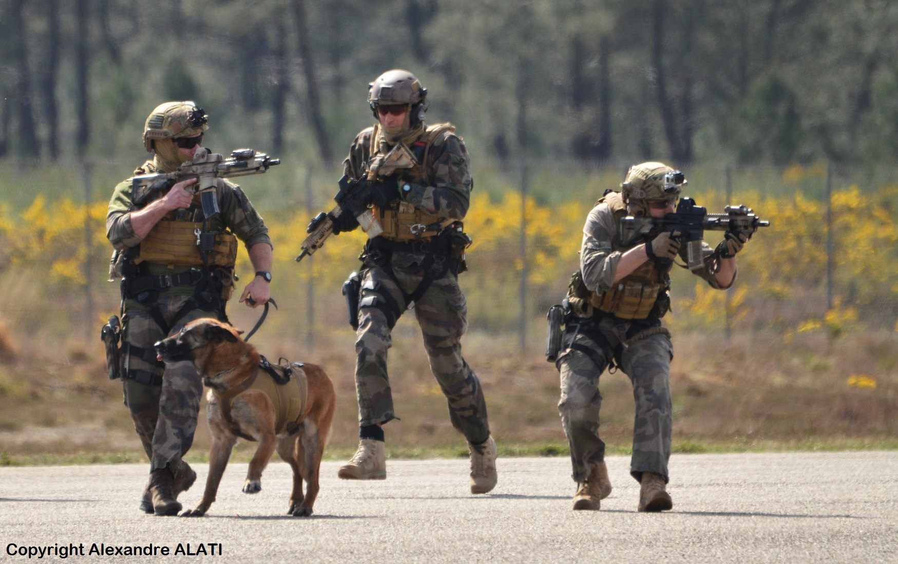 🔥 Free Download French Commandos Marine At Sofins Wallpaper by ...