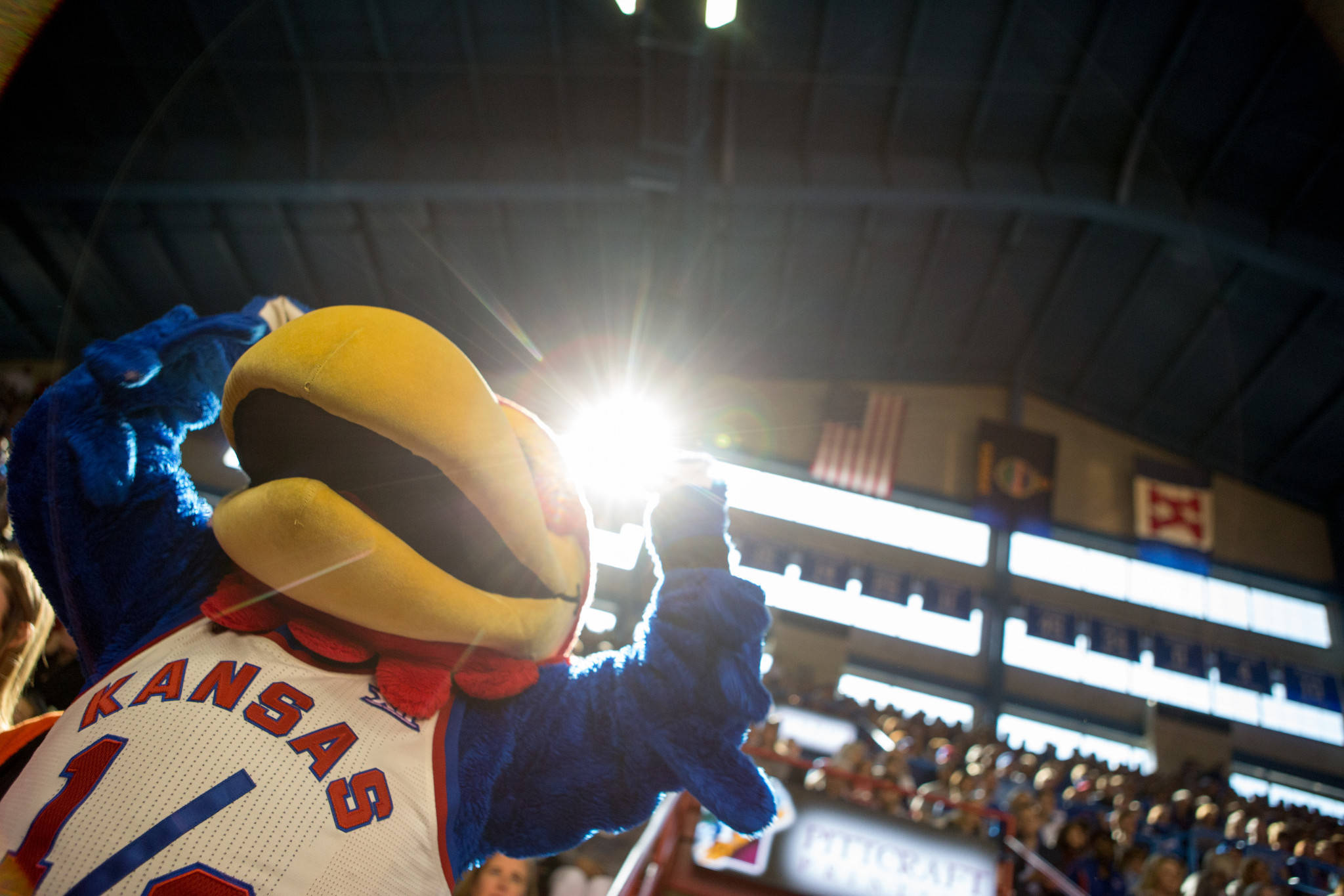 🔥 Free Download University Of Kansas Mascot Inside Gym Wallpaper by ...