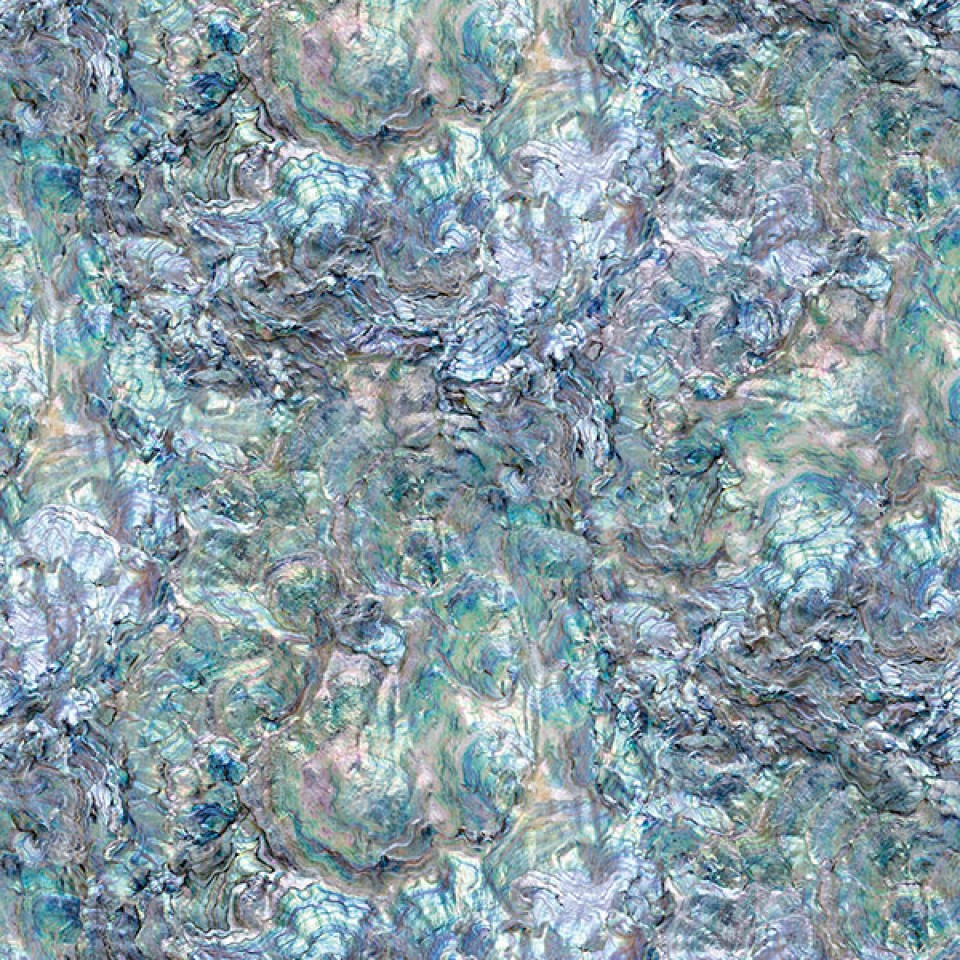 🔥 [10+] Nacre Wallpapers | WallpaperSafari