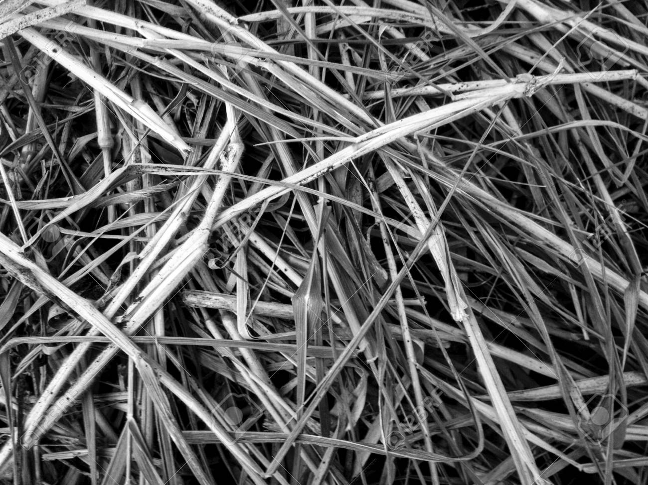 [35+] Haystack Background | WallpaperSafari