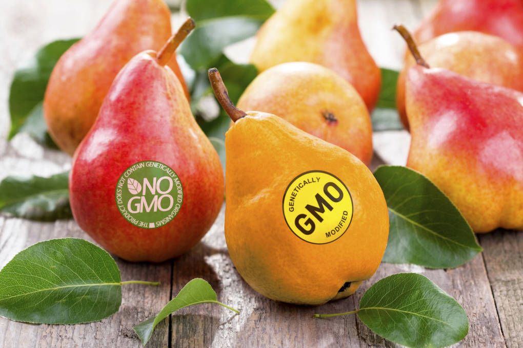 🔥 Free Download Gmo Crops Headed For Ban In Sonoma County Science Media ...