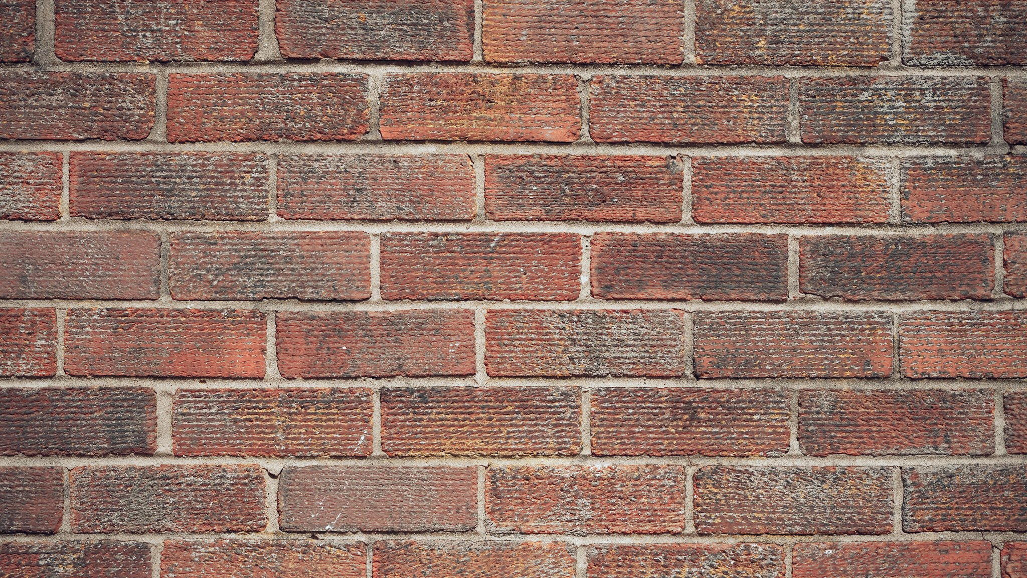 🔥 Free download Brick Vector Picture Brick Textured Wallpaper [1600x900 ...
