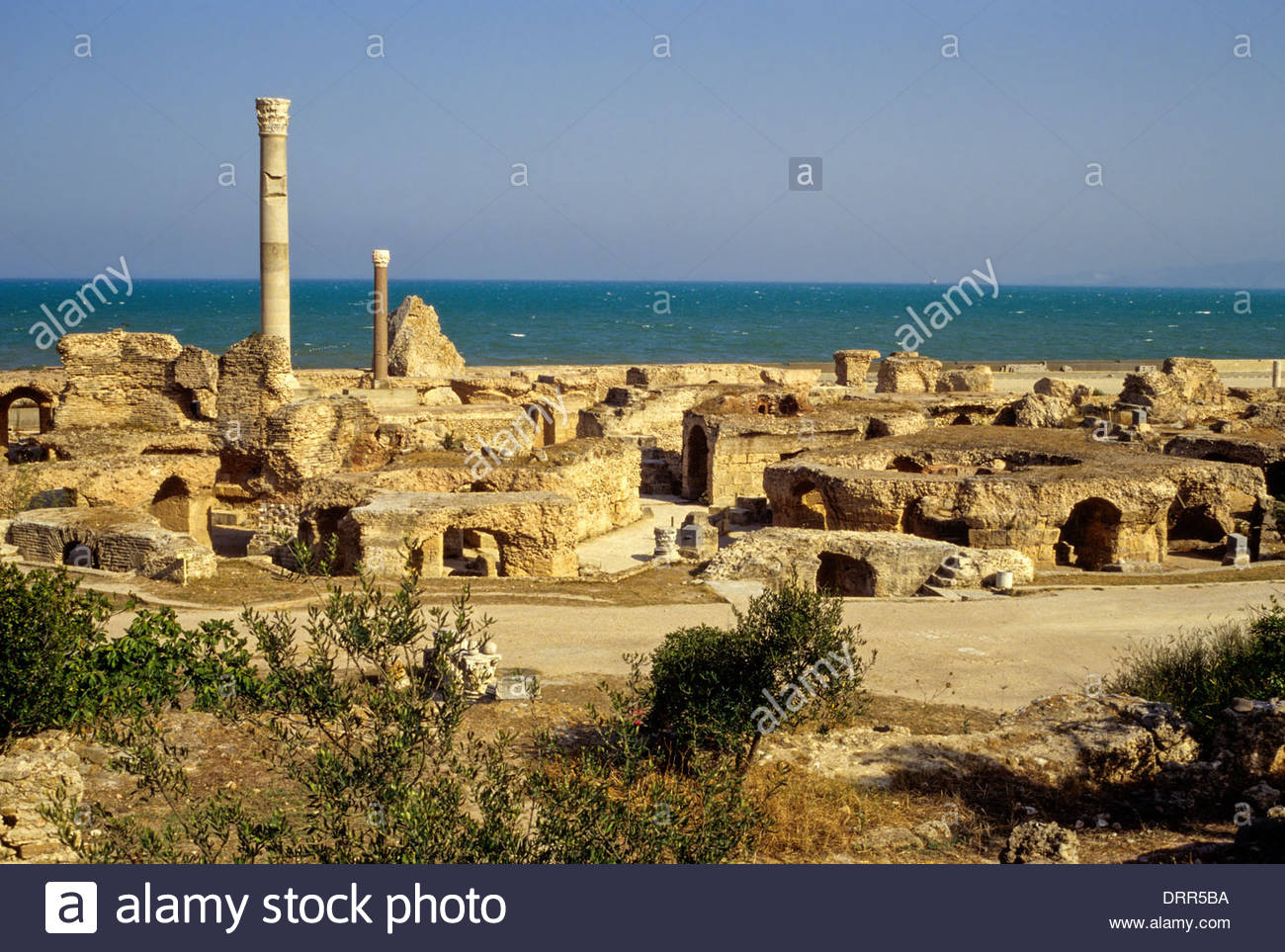 [39+] Carthage Background | WallpaperSafari