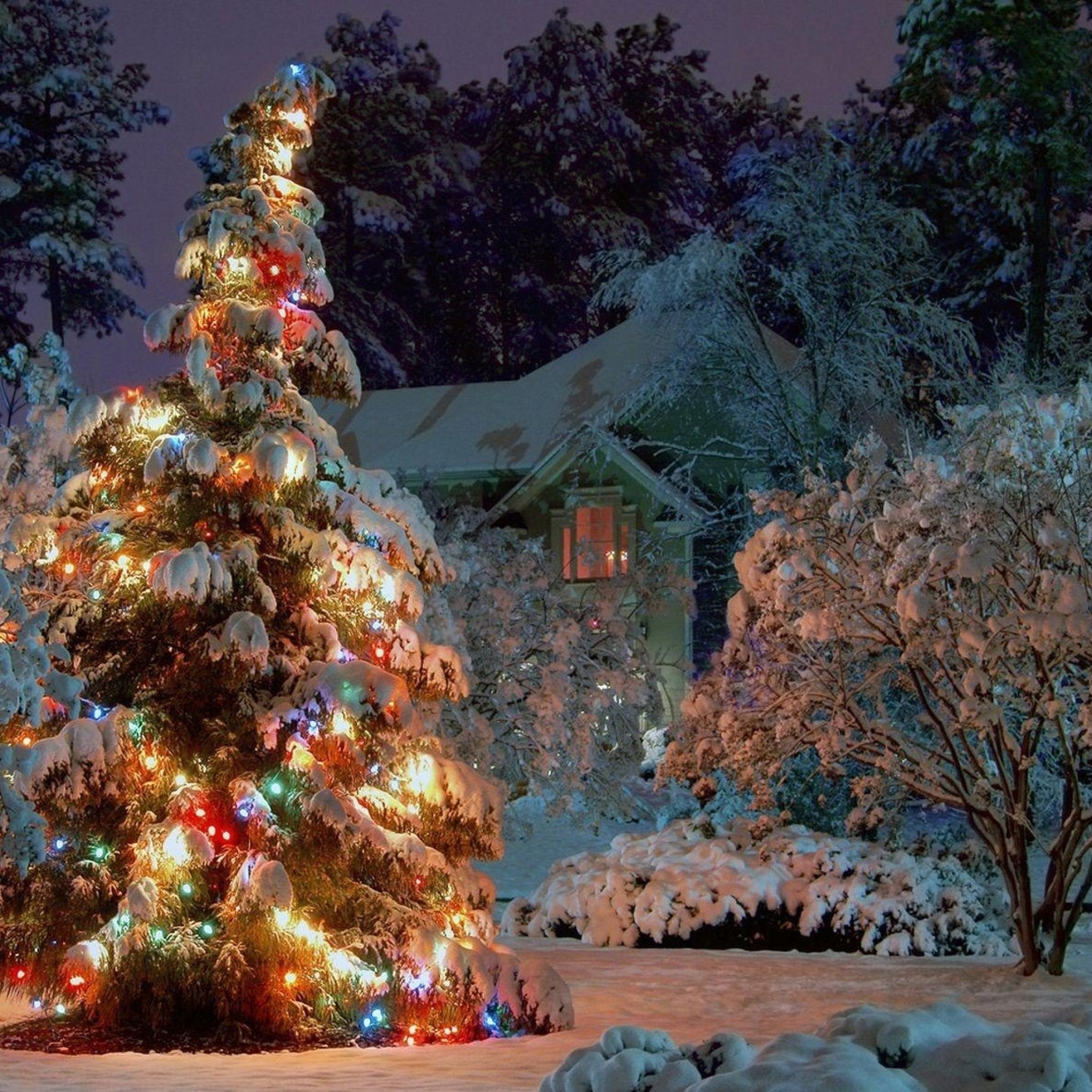 🔥 Free Download Christmas Wallpaper And Screensavers by @kharris59 ...