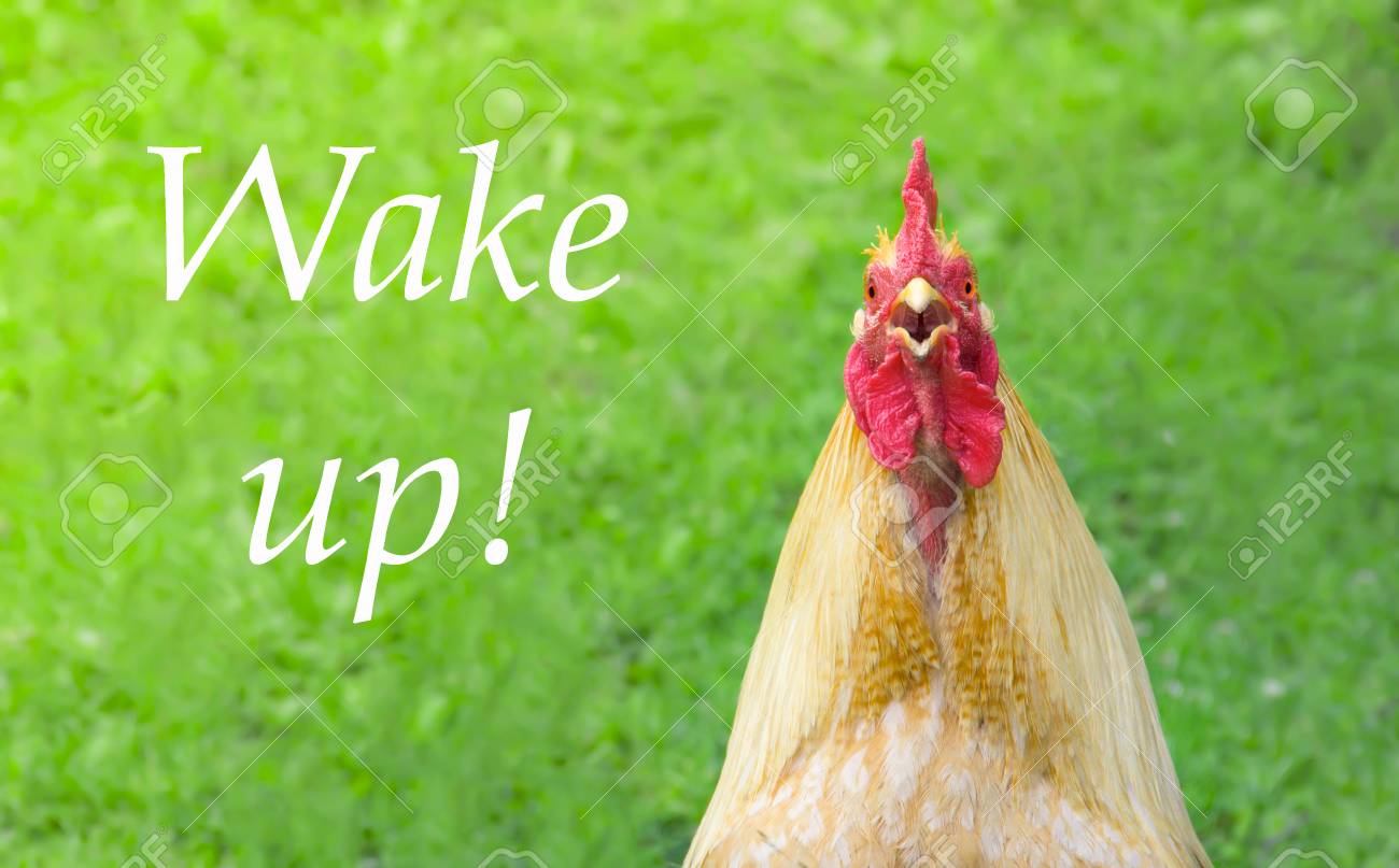 [44+] Roster Background | WallpaperSafari