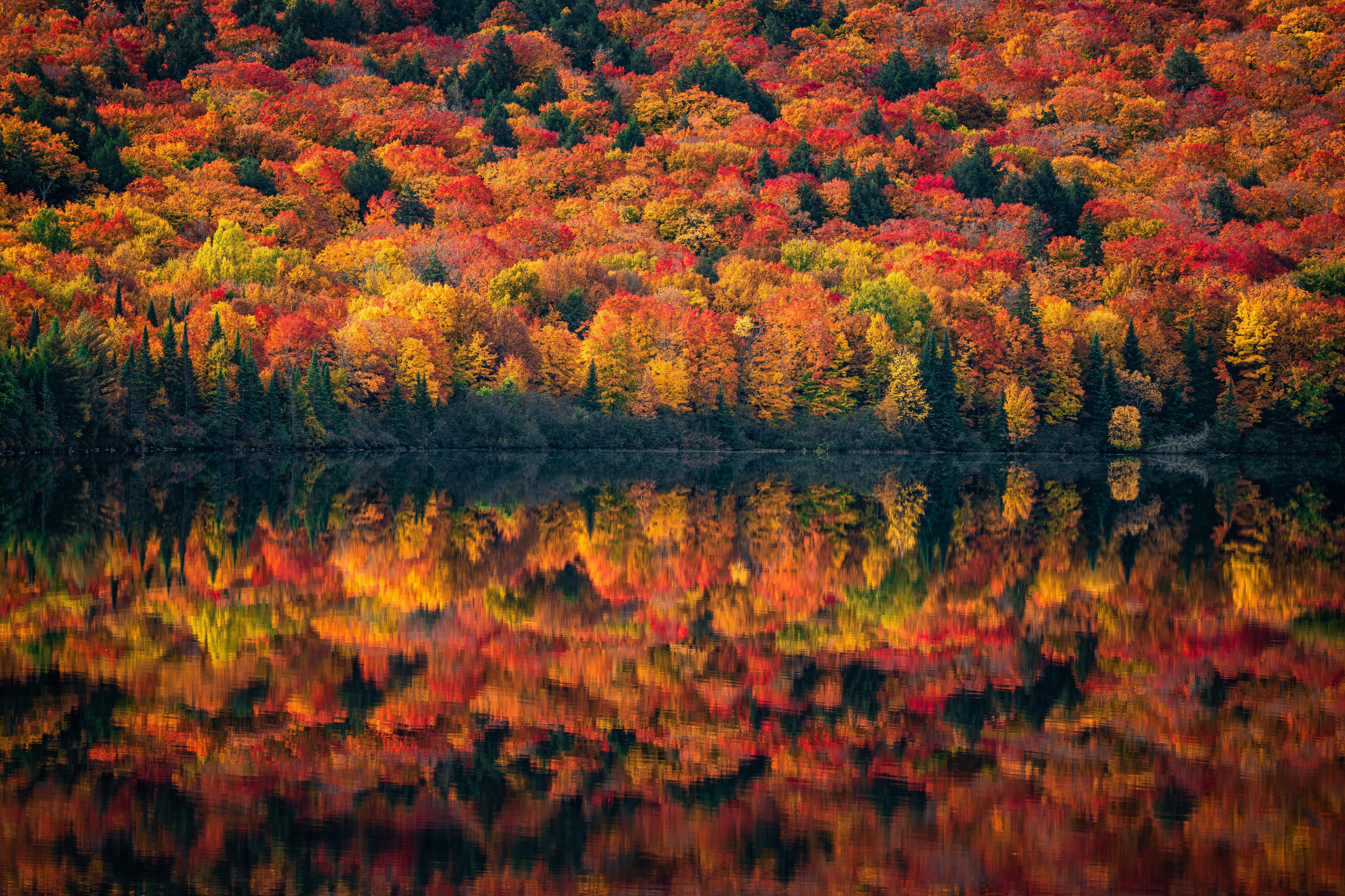Fall Wallpaper For Macbook