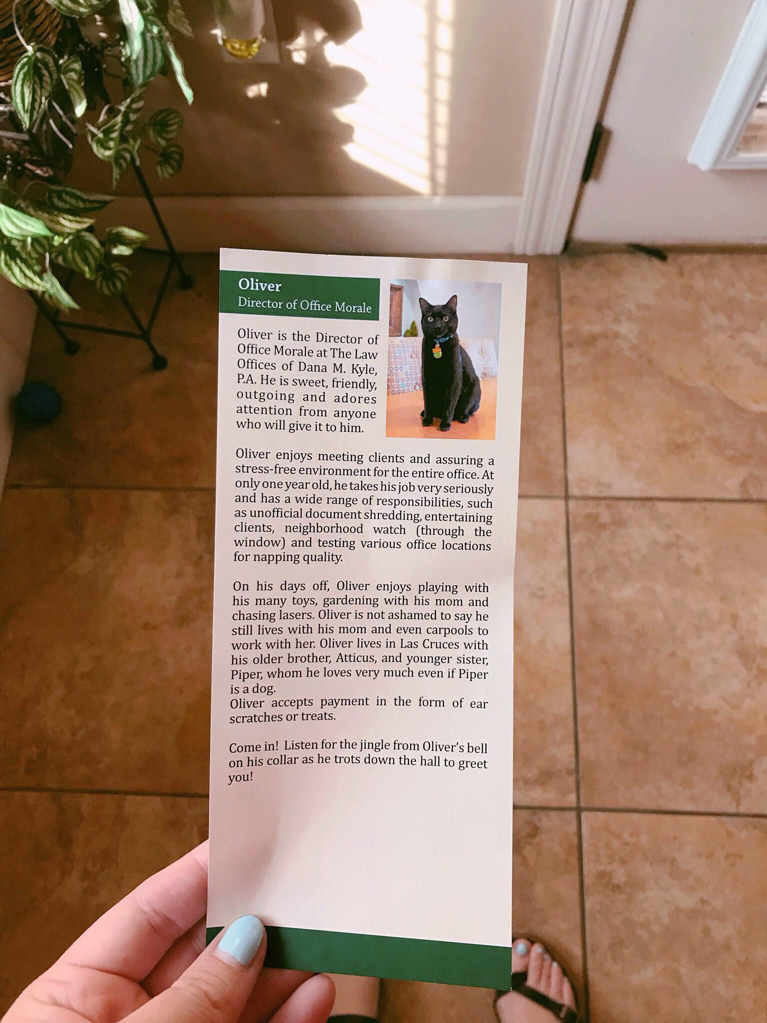 🔥 [20+] Sneaky Backgrounds | WallpaperSafari