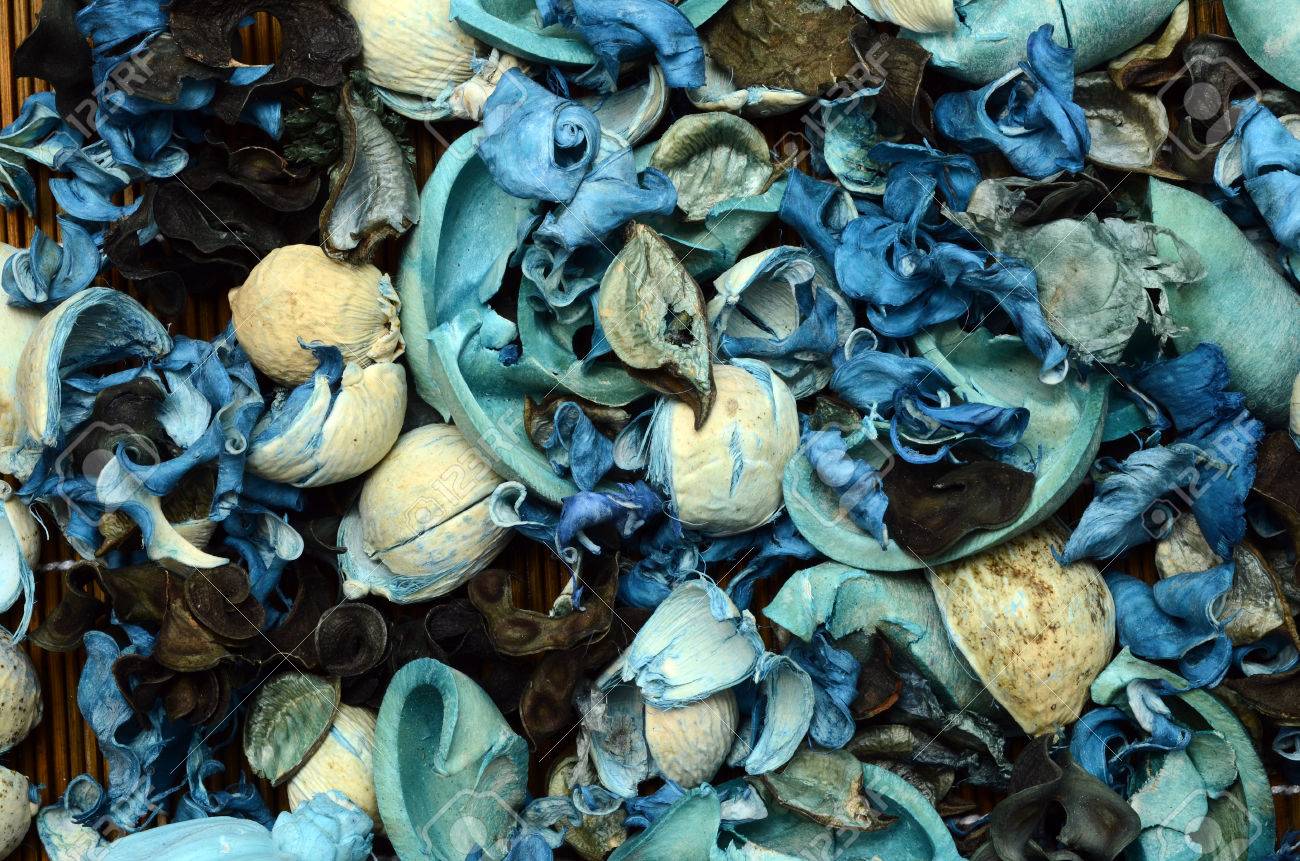 🔥 [41+] Potpourri Background | WallpaperSafari