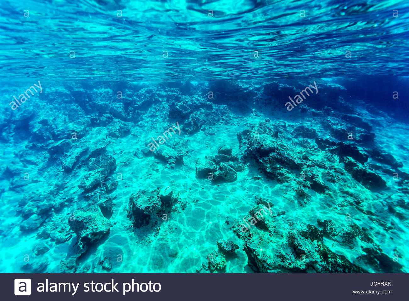 🔥 [28+] Seabed Background | WallpaperSafari