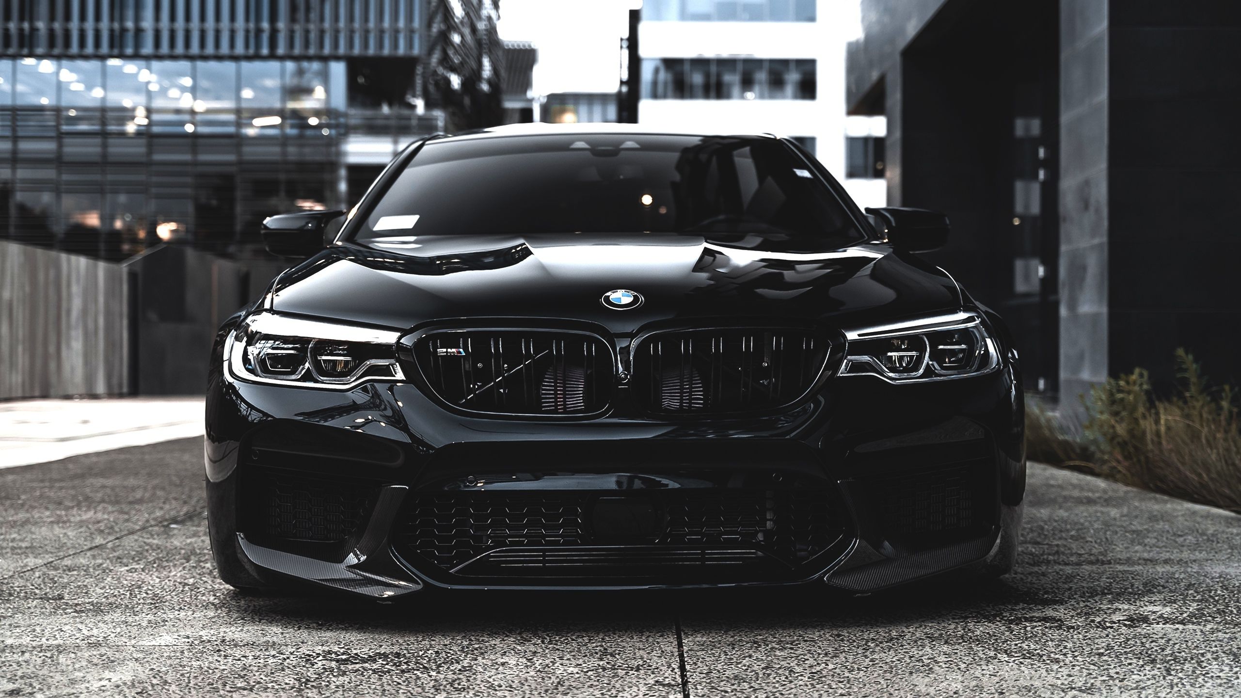 🔥 Free Download Bmw m5 Wallpaper by @dunderwood41 | WallpaperSafari