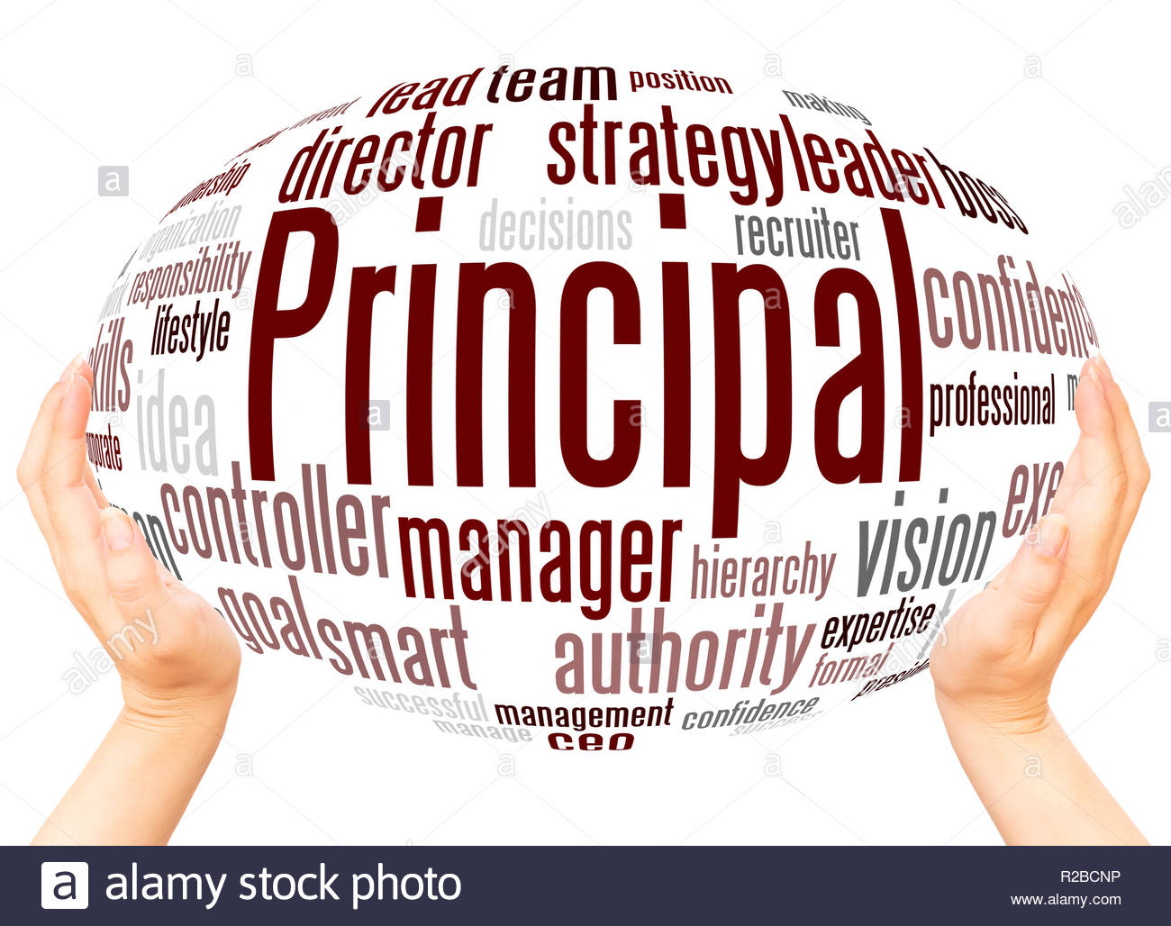 [24+] Principal Backgrounds | WallpaperSafari