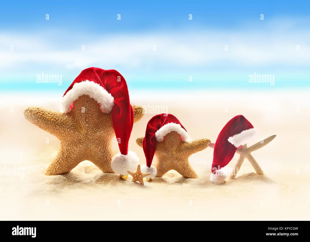 [15+] Summer Christmas Wallpapers | WallpaperSafari
