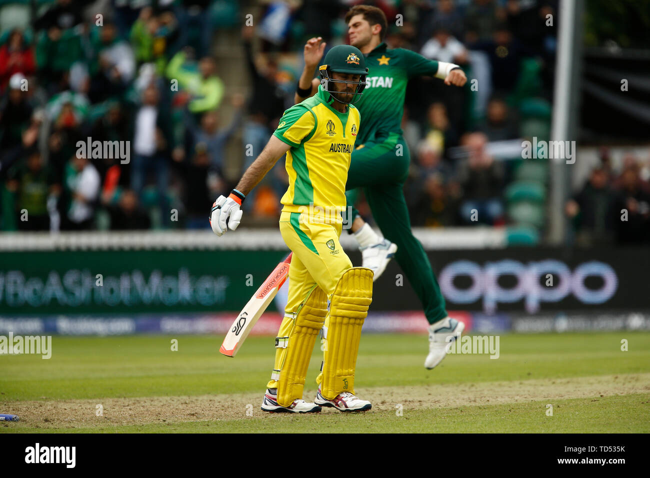 [26+] Shaheen Afridi Wallpapers | WallpaperSafari