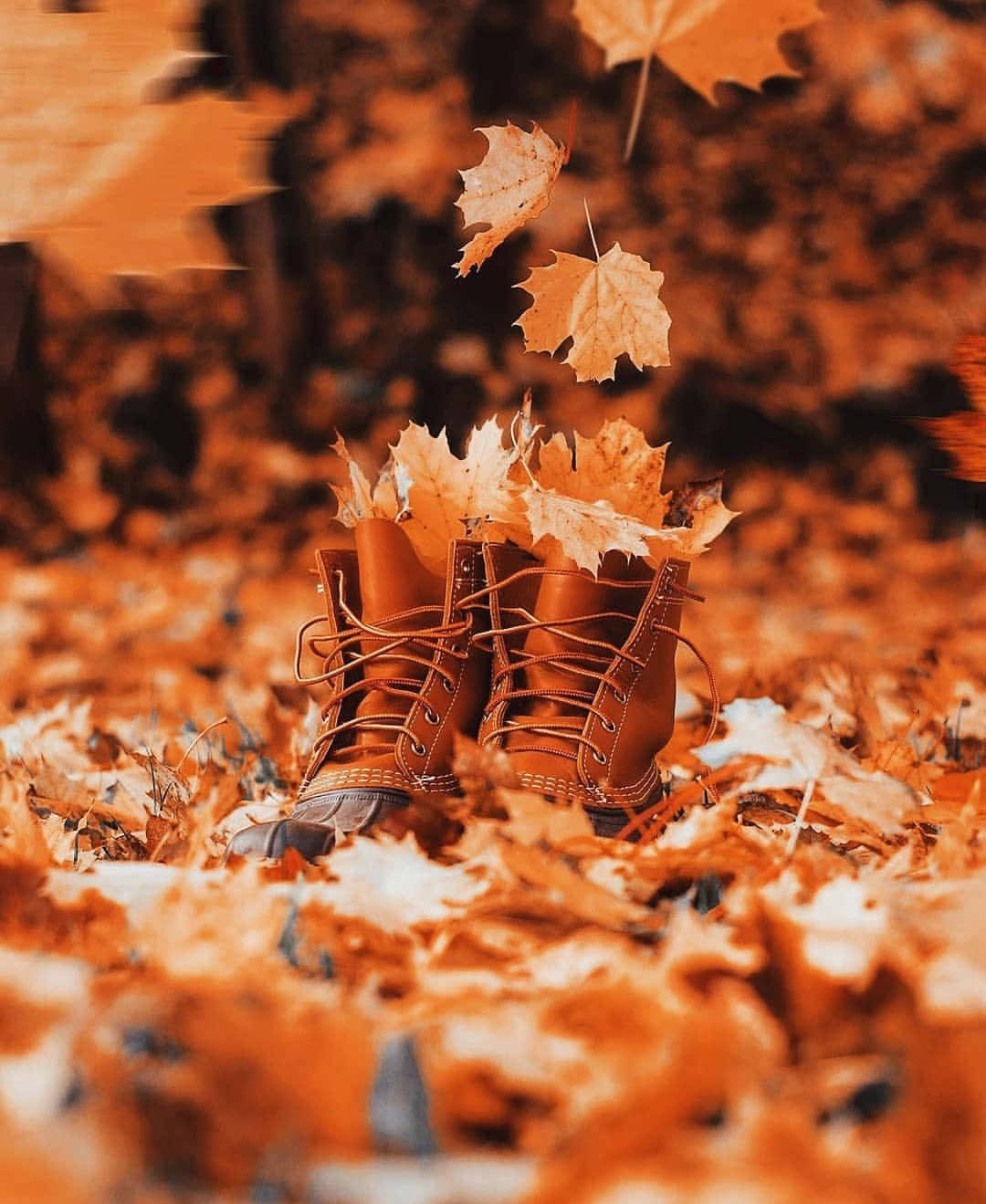 🔥 Free Download Aesthetic Fall Picture Wallpaper by @kaylam ...