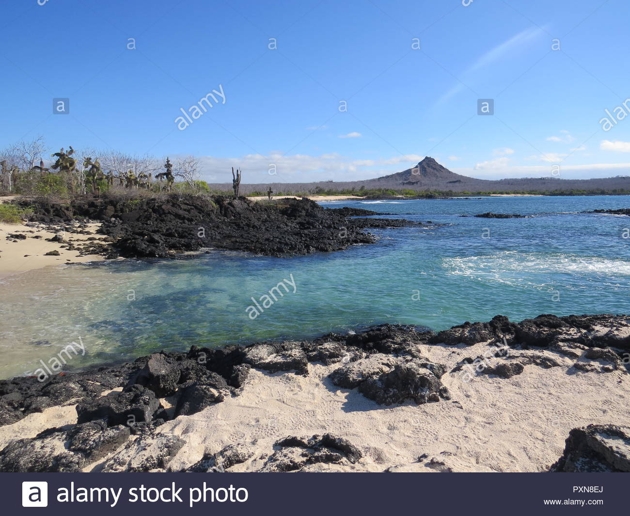 [35+] Galapagos Backgrounds | WallpaperSafari