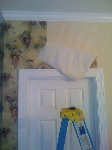 Free Download How To Remove Vinyl Wallpaper 444x592 For Your Desktop free-download-how-to-remove-vinyl-wallpaper-444x592-for-your-desktop