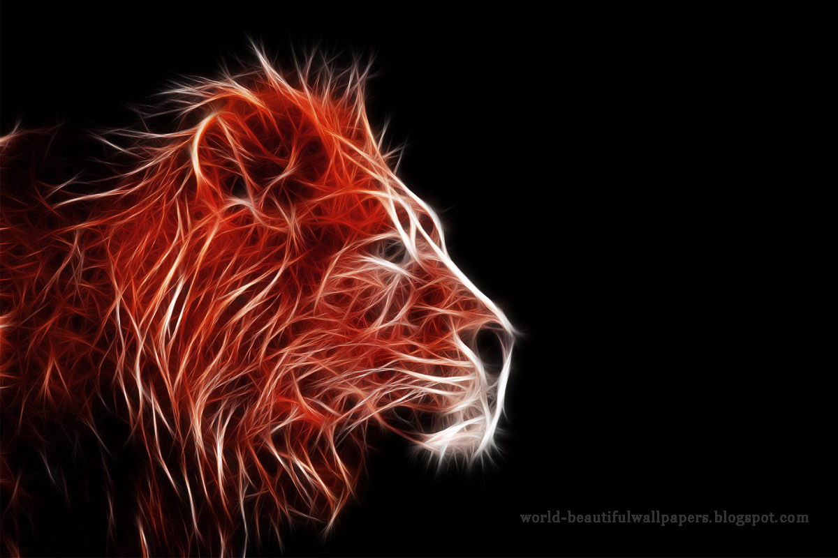 Free Download Images Black Lion Images Black Lion Images Black Lion 
