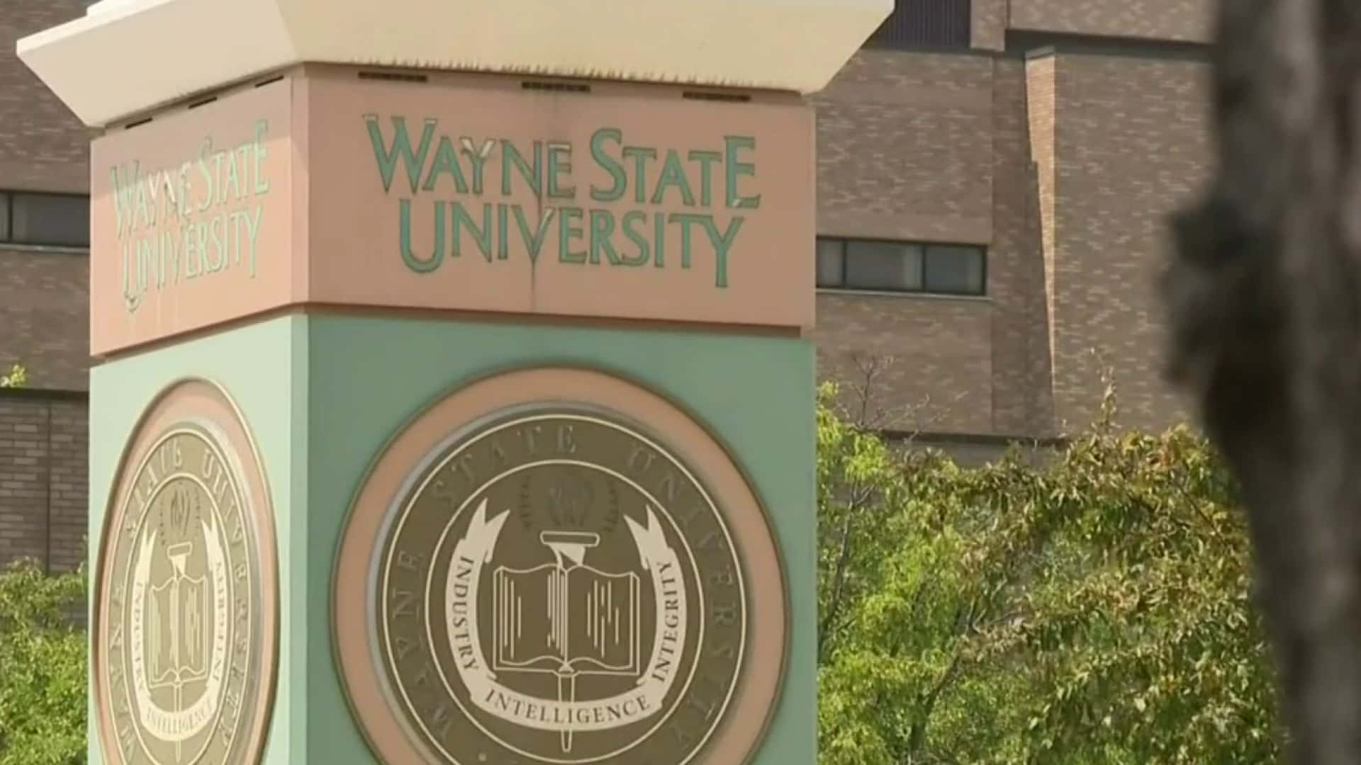 🔥 Free Download Wayne State University Wallpaper by @cellis37 ...