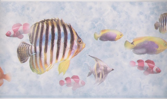 Free download Green Sea Glass Border Cahoon Sand Dollar Wallpaper by ...