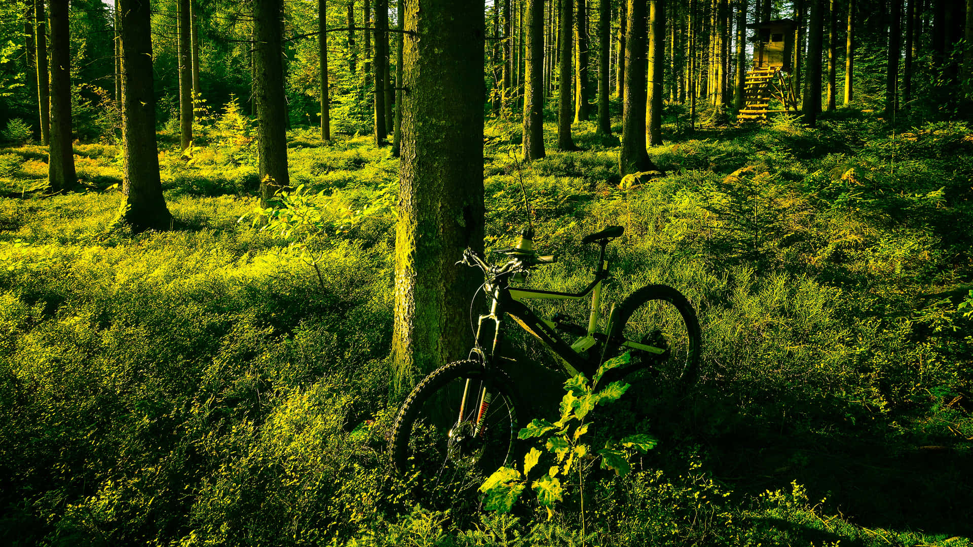 🔥 Free Download Bikes 4k Wallpaper by @logang | WallpaperSafari