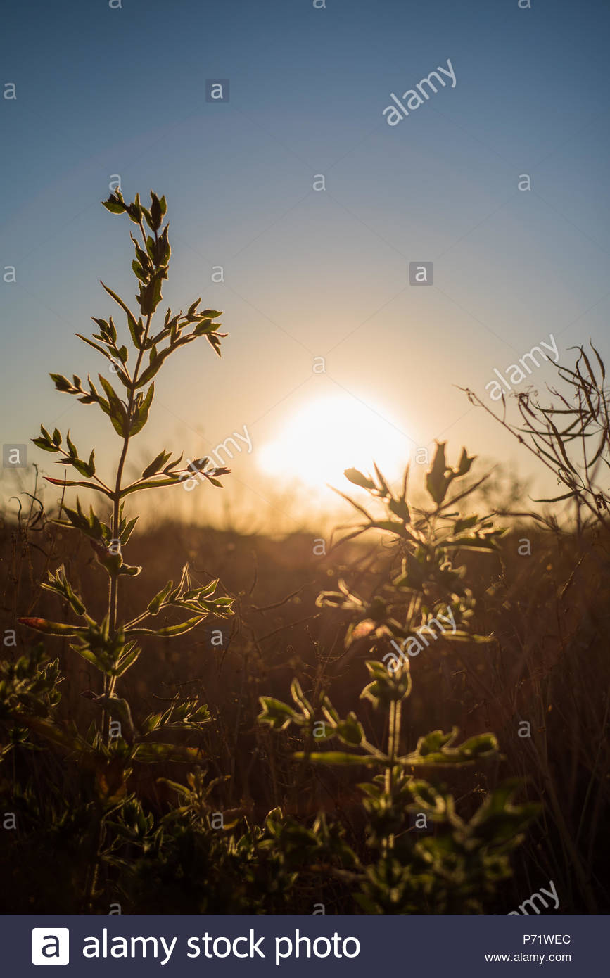 [42+] Sunlit Backgrounds | WallpaperSafari