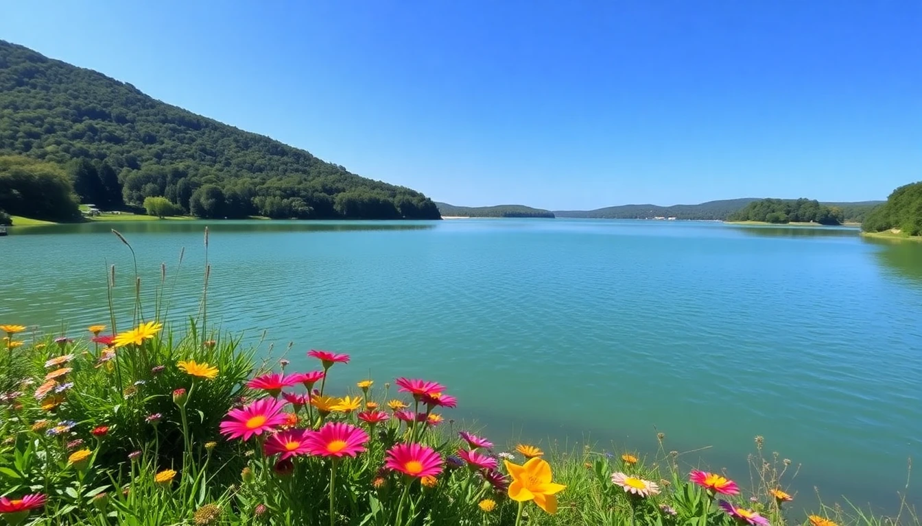 🔥 Free Download Cares Wallpaper by @aaront4 | WallpaperSafari