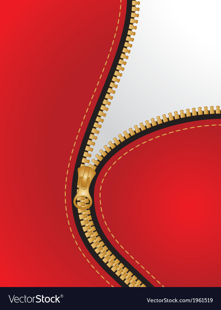 Free download Zipper background Royalty Free Vector Image VectorStock ...