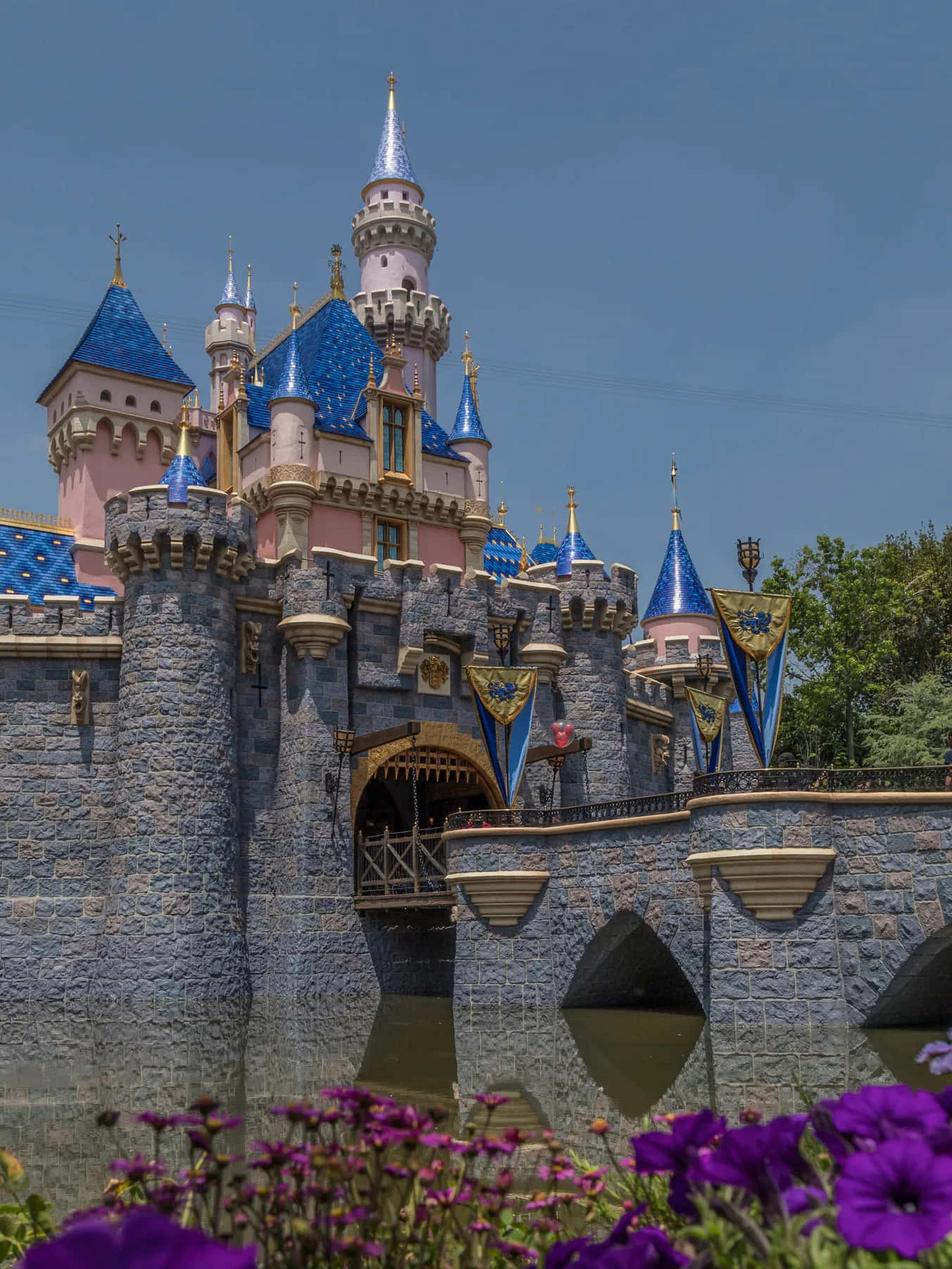 🔥 [70+] Disneyland Castle Wallpapers | WallpaperSafari