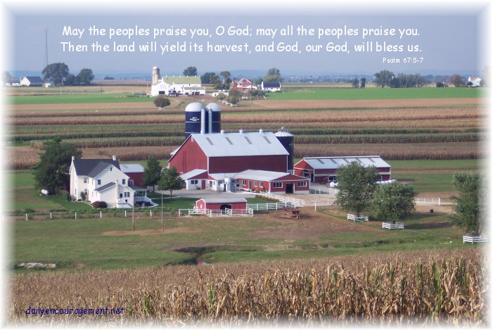 🔥 Free download Amish Quilts Rustic Folk Art Houses Laundry Wall ...