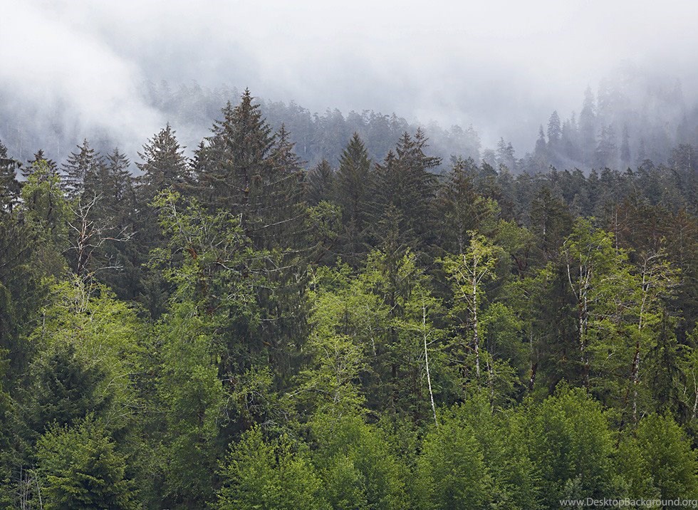 🔥 Free Download Pacific Northwest Wallpaper Cave Desktop Background by ...