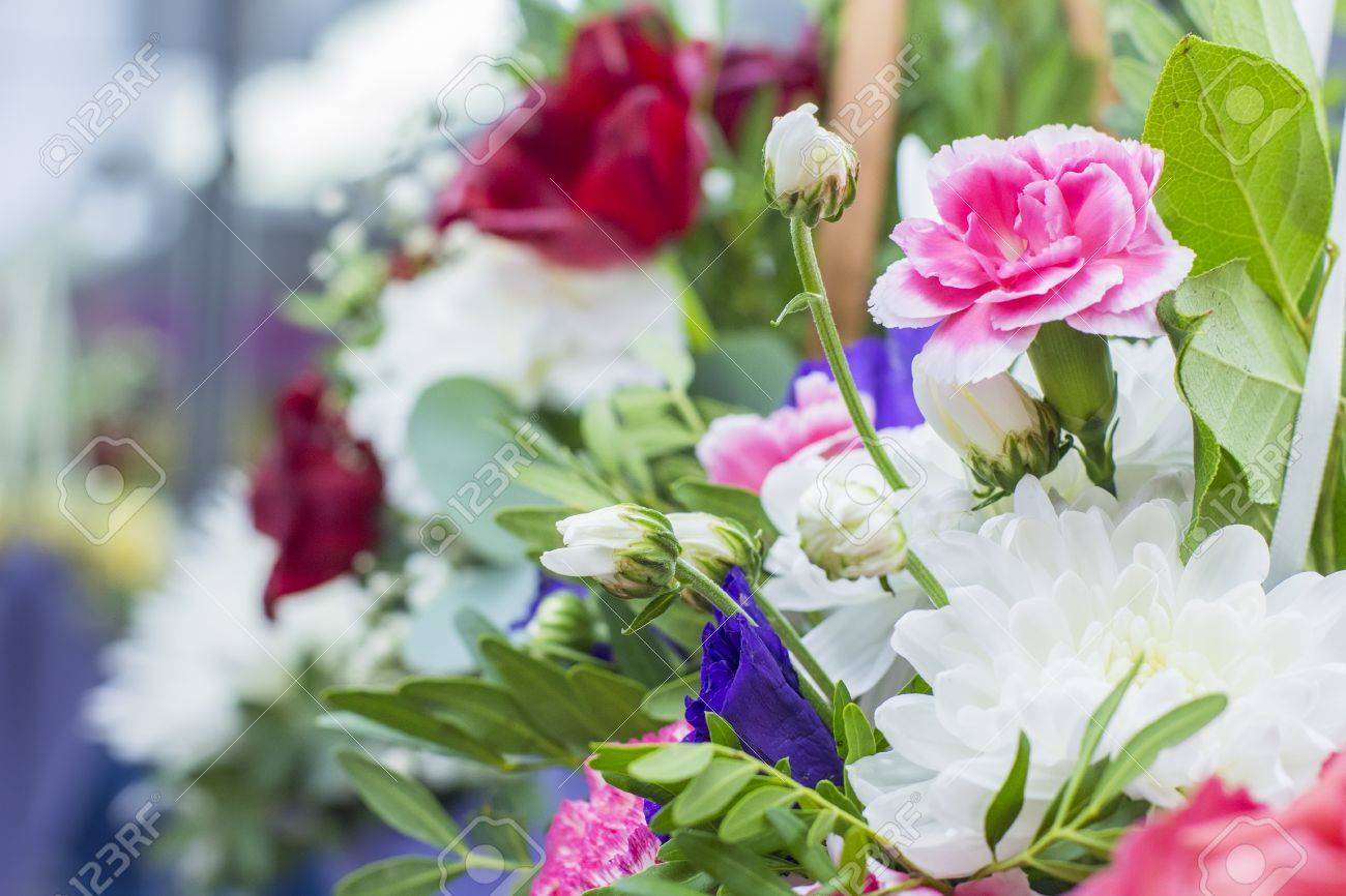 🔥 [36+] Florist Background | WallpaperSafari