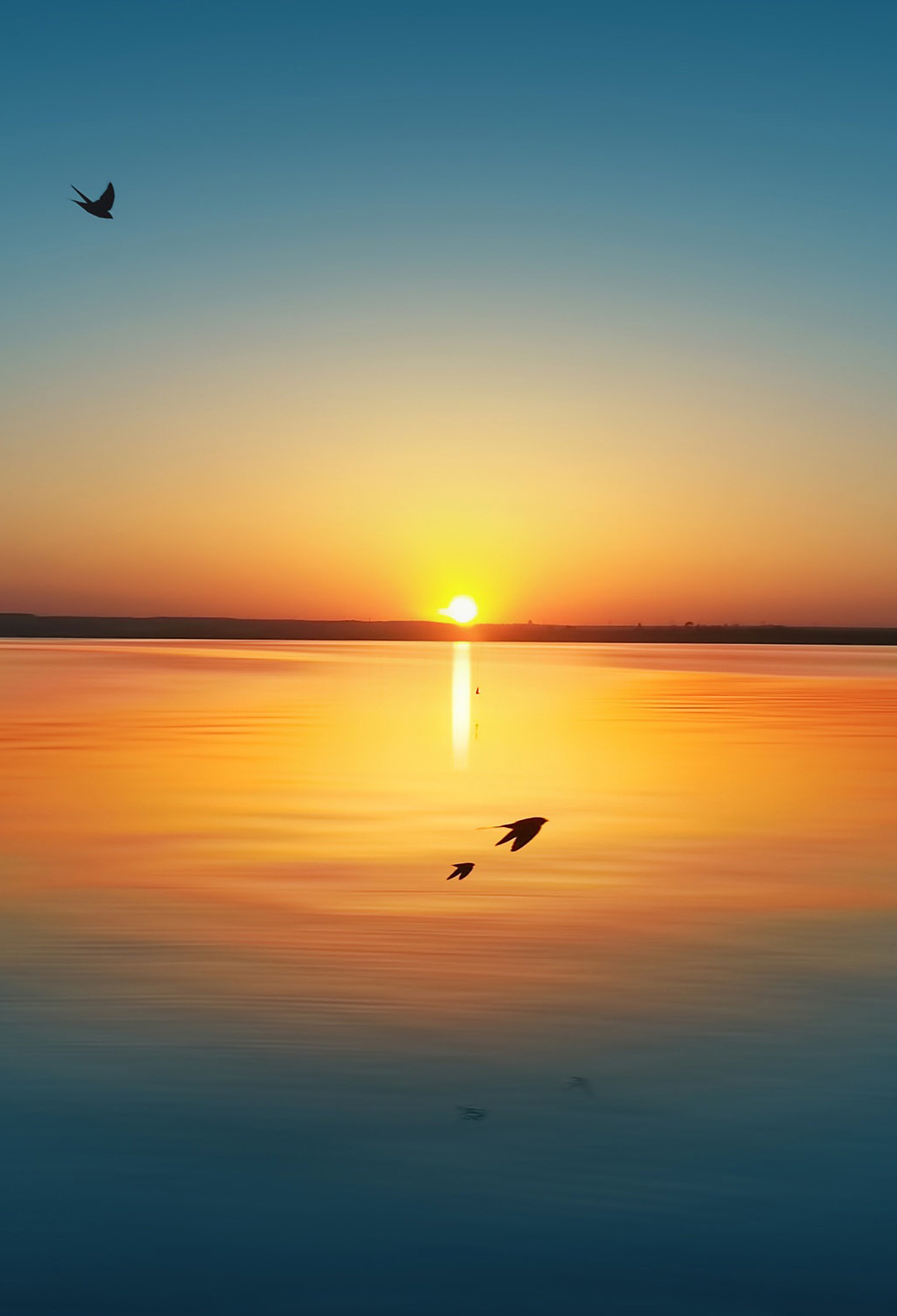 Free Download Ios Wallpaper Download Wallpaper Details 1040x1526 For Free Download Ios Wallpaper Download Wallpaper Details 1040x1526 For