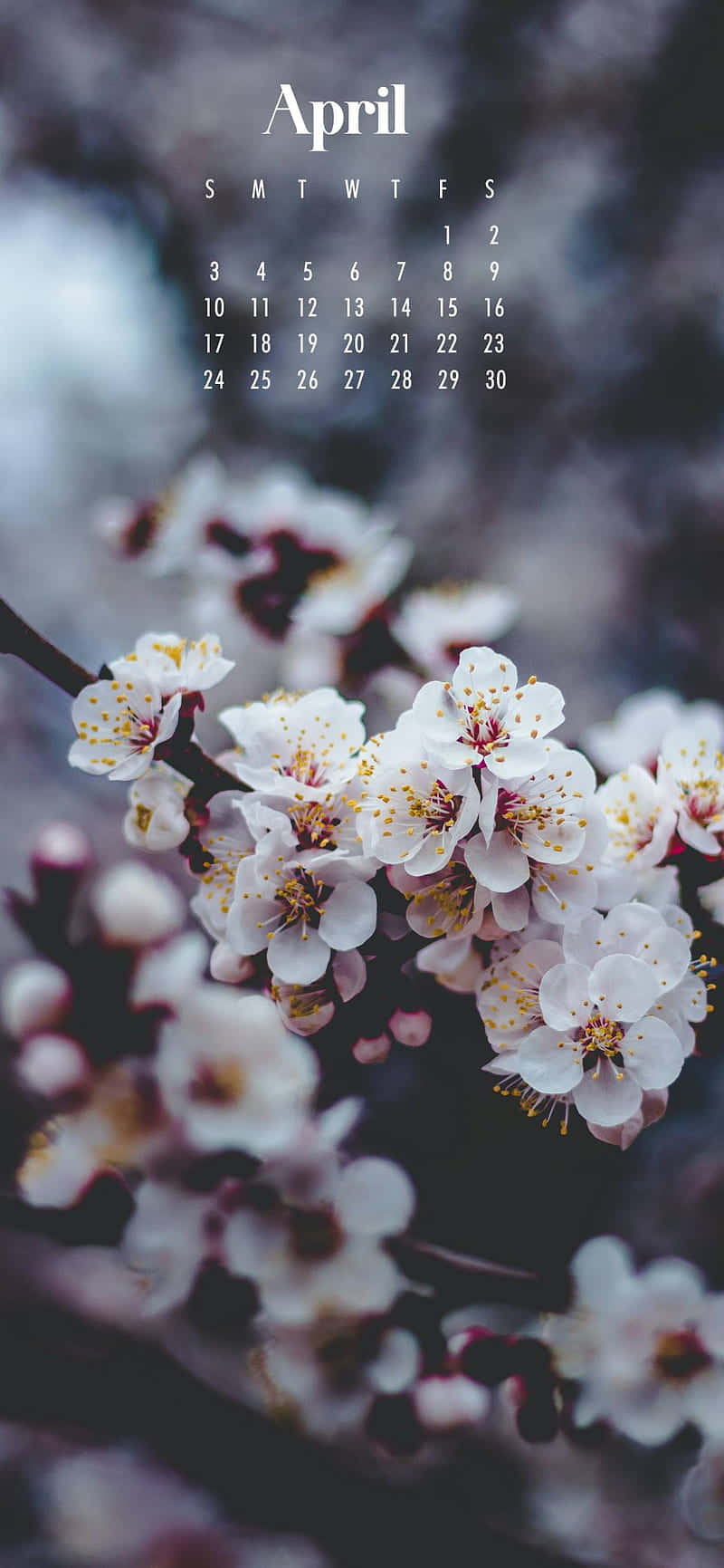 🔥 Free Download Cute April Wallpaper Calendar by @mellis | WallpaperSafari