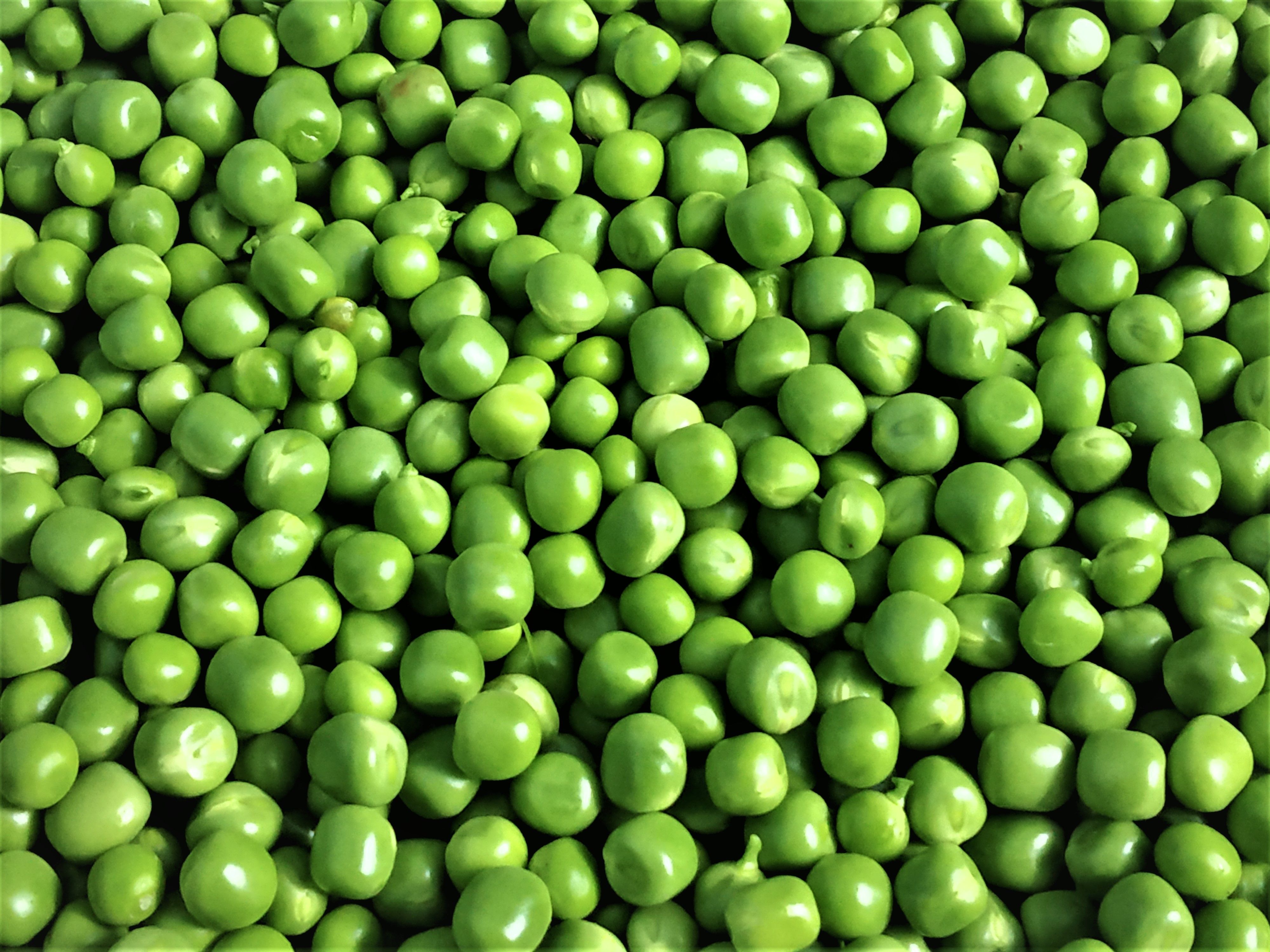 [44+] Peas Wallpapers | WallpaperSafari