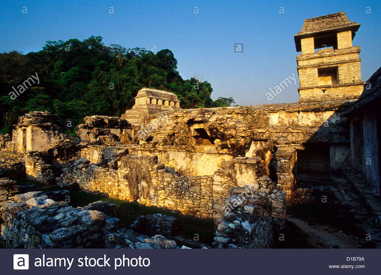 [39+] Chiapas Background | WallpaperSafari