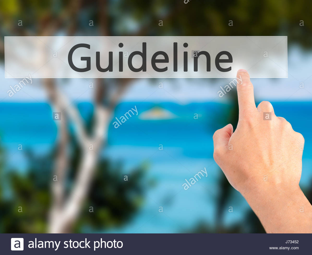 [44+] Guideline Background on WallpaperSafari