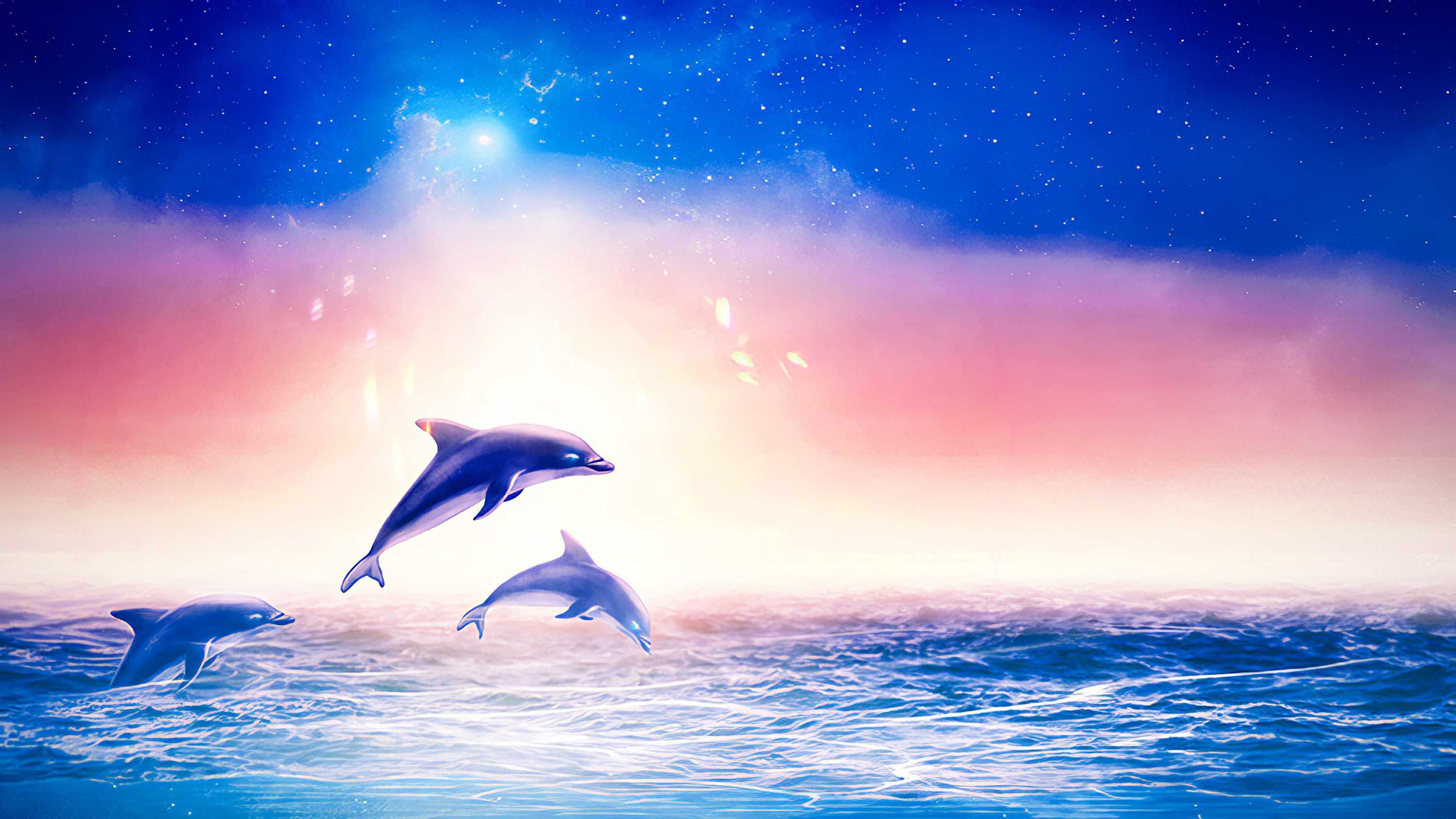 🔥 [30+] Cute Dolphin Wallpapers | WallpaperSafari