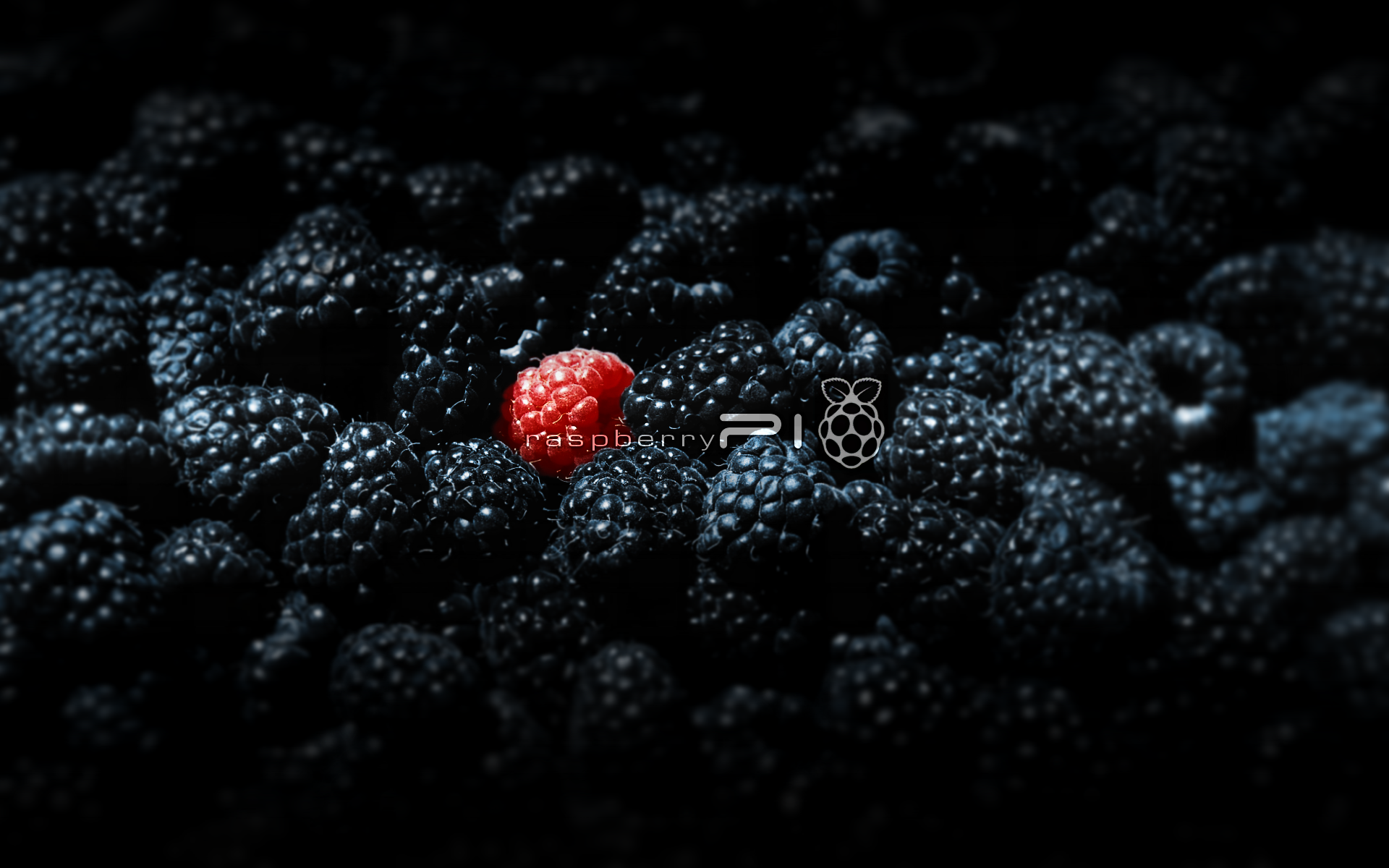 🔥 Free Download Raspberry Pi Wallpaper Top Background by @annettem ...