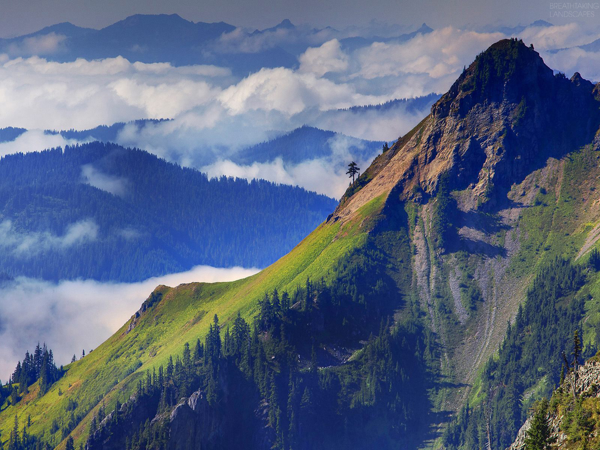 1200x900 Wallpapers - WallpaperSafari