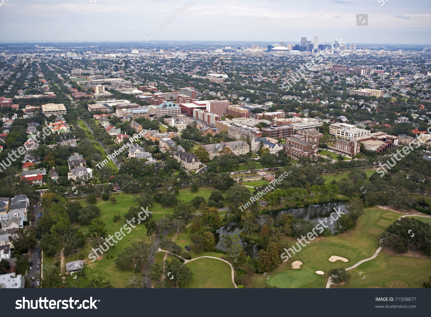 Free download Green Grass Background [900x900] for your Desktop, Mobile ...