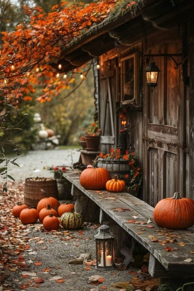 🔥 Free Download Gorgeous Fall Phone Wallpaper Artofit by @nthomas31 | WallpaperSafari