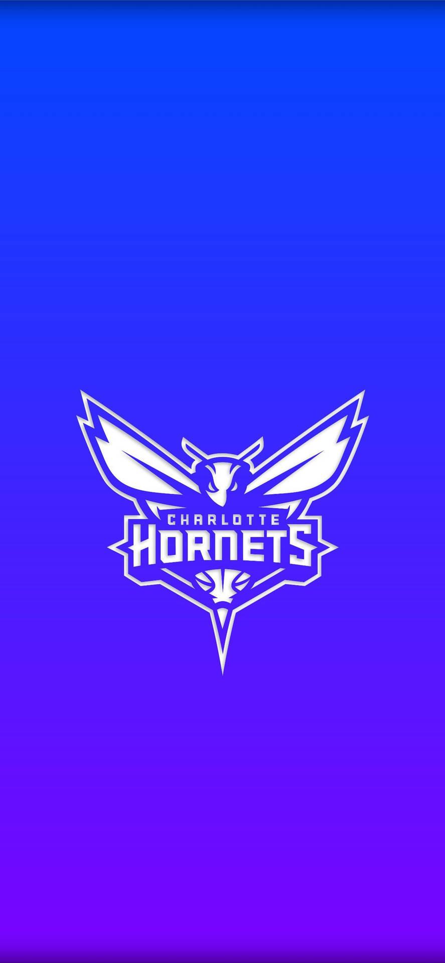 🔥 [30+] Charlotte Hornets Logo Wallpapers | WallpaperSafari