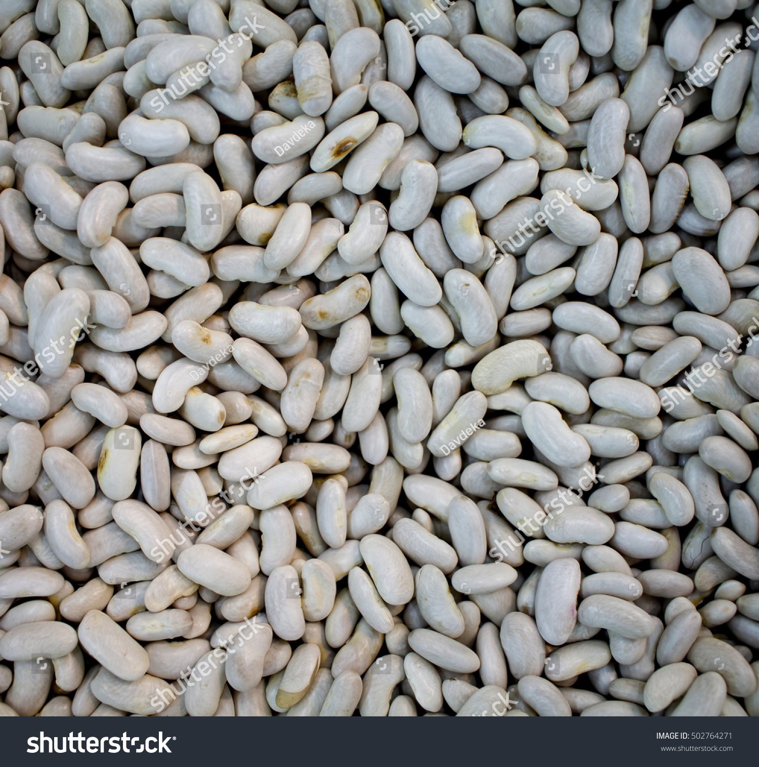 [18+] Haricot Wallpapers - WallpaperSafari