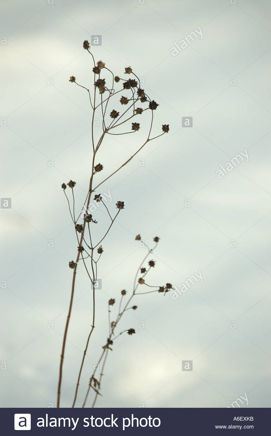 [19+] Midwestern Backgrounds | WallpaperSafari