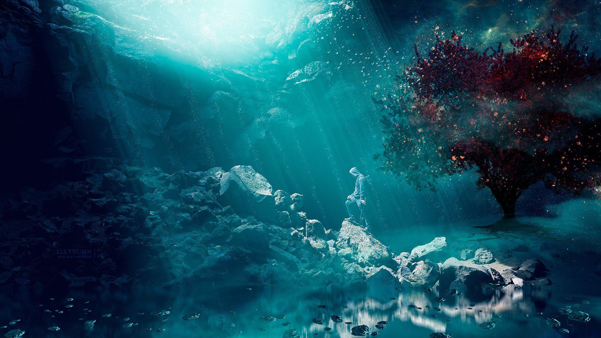 🔥 Free Download Underwater 4k Wallpaper by @maryh33 | WallpaperSafari