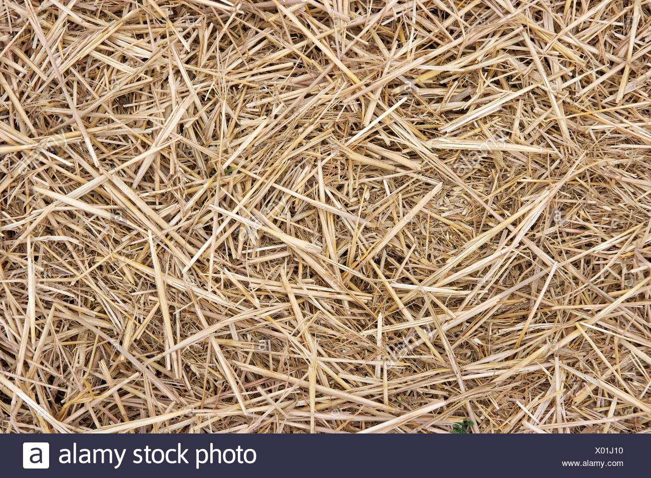 [35+] Haystack Background | WallpaperSafari