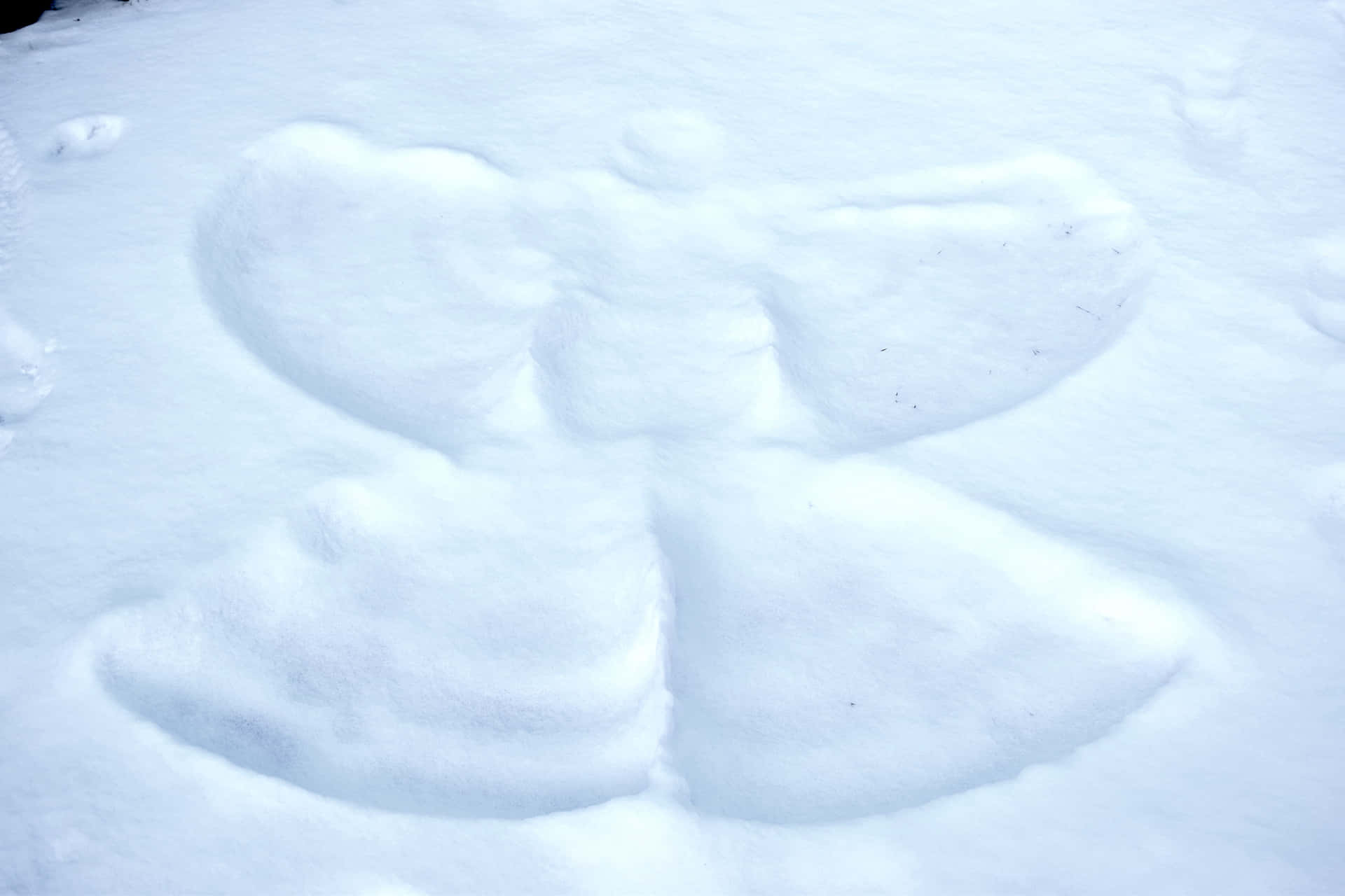 🔥 Free Download Snow Angel Shape Wallpaper by @joec94 | WallpaperSafari