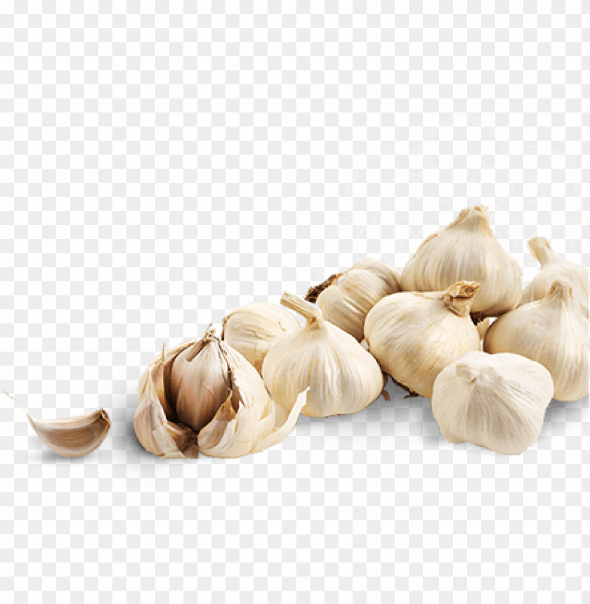 🔥 [20+] Garlic Backgrounds | WallpaperSafari