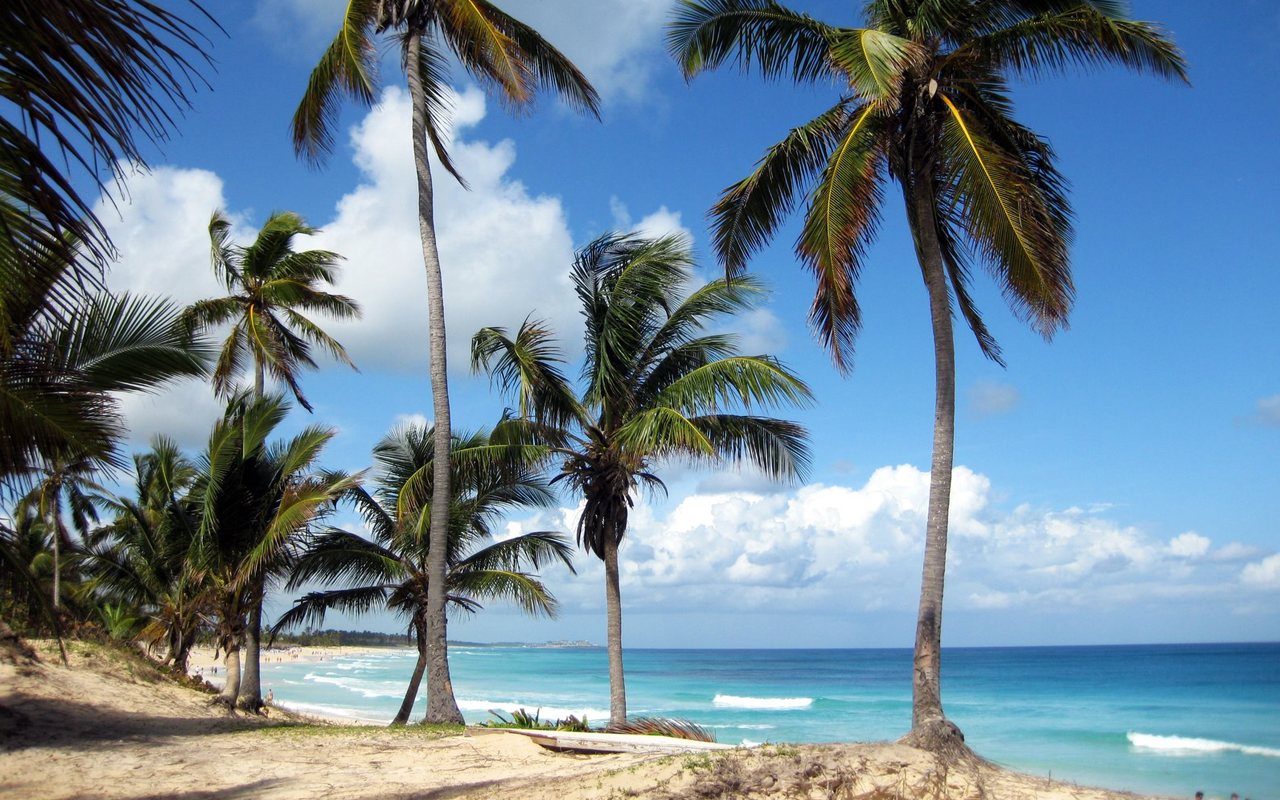 🔥 Free Download Paisajes Punta Cana Republica Dominicana Rd Wallpaper ...